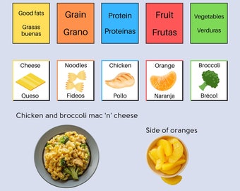 Nutrition Flashcards - Etsy