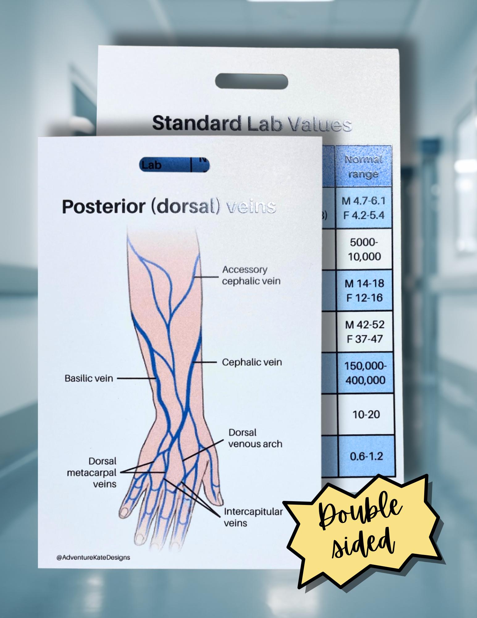 Phlebotomy Badge Card Bundle: Order of Draw, Standard Lab Values ...