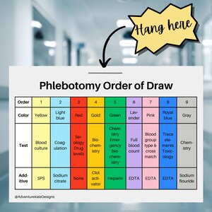 Phlebotomy Order of Draw & Lab Values Badge Card (digital Download) - Etsy