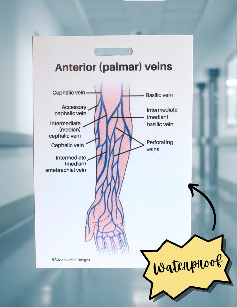 Phlebotomy Badge Card Bundle: Order of Draw, Standard Lab Values ...