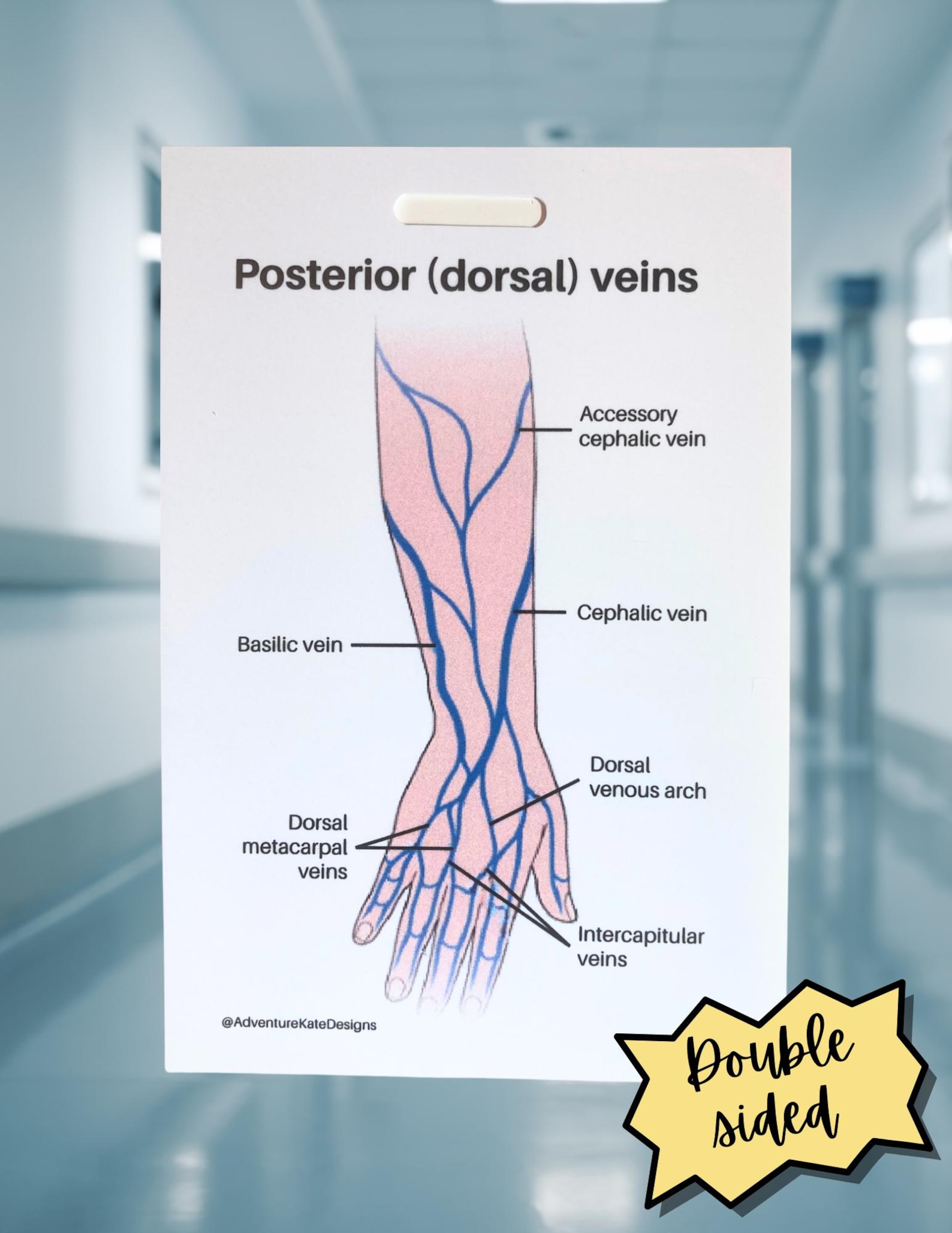 Phlebotomy Badge Card Bundle: Order of Draw, Standard Lab Values ...