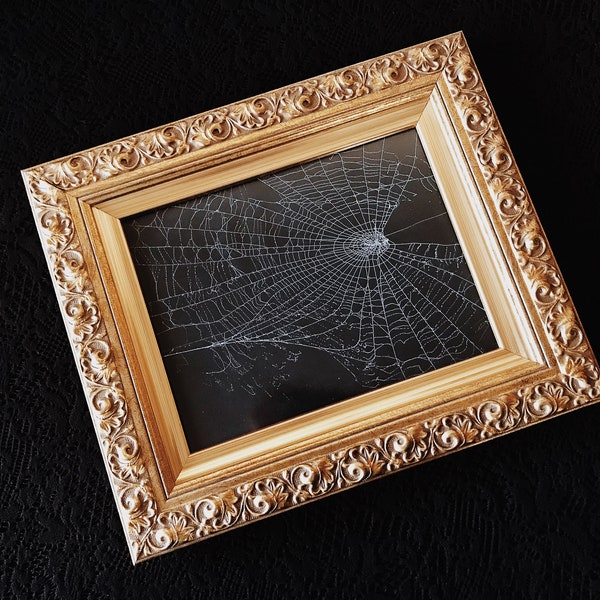 Framed Spider Web - Etsy