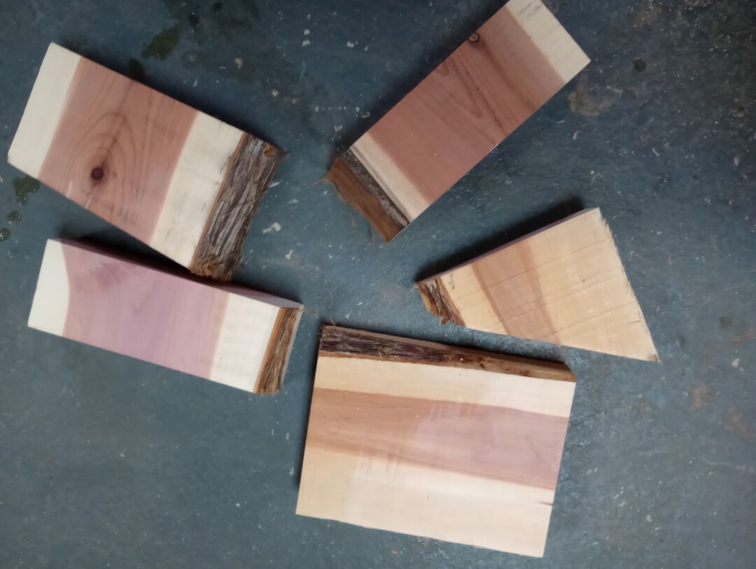 Live Edge Cedar Blocks - Etsy
