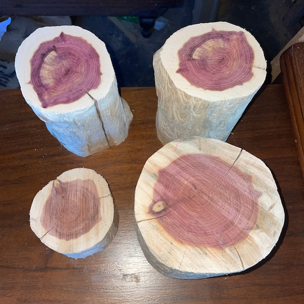 Cedar Logs - Etsy