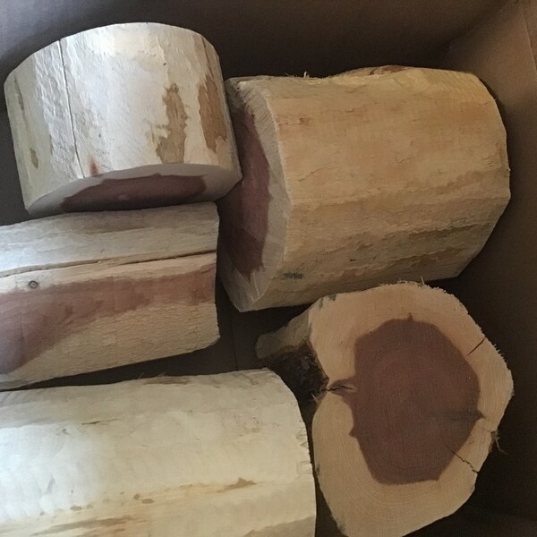 Cedar Logs - Etsy