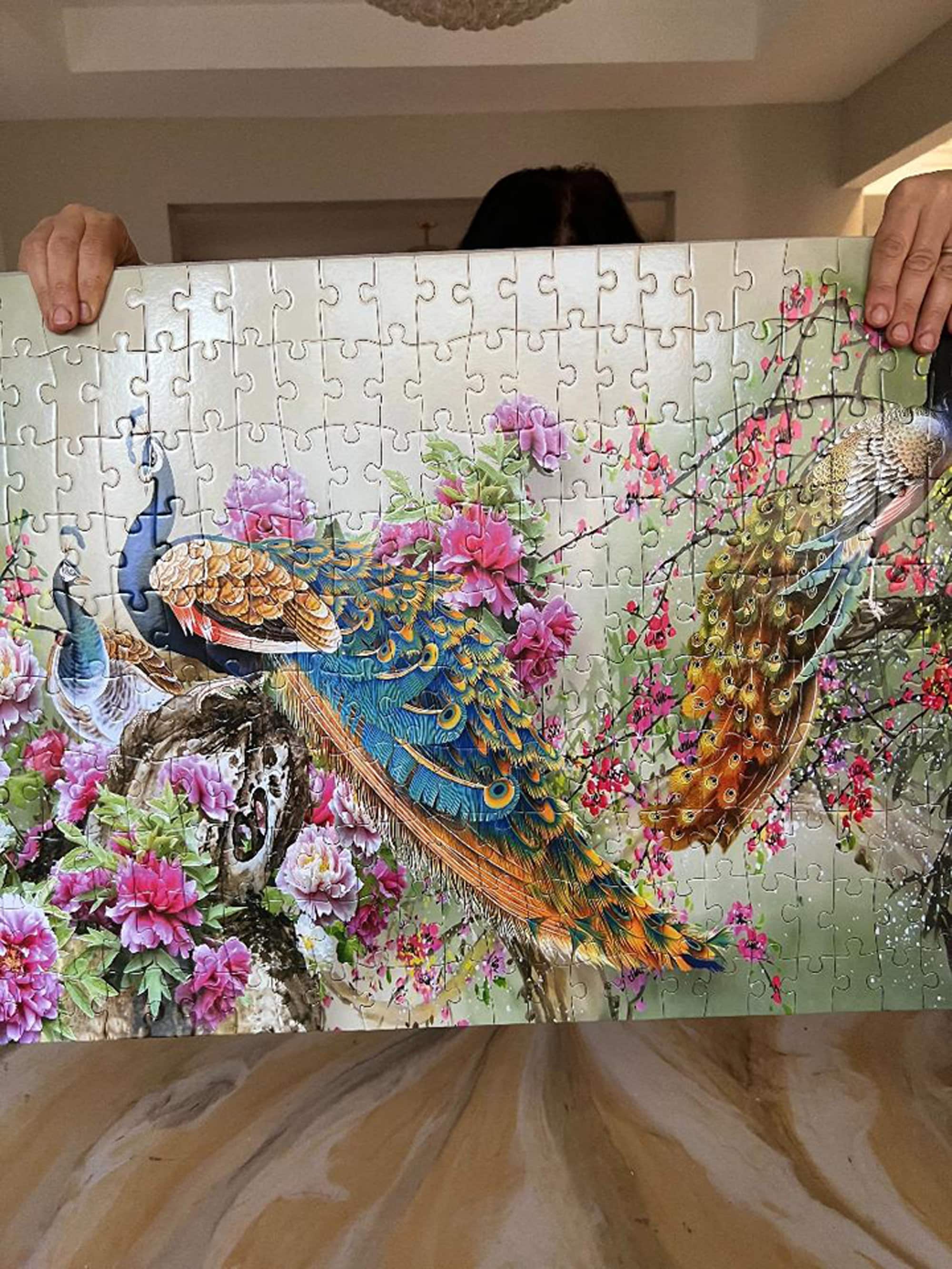 Peacock 250 Large Piece Jigsaw Puzzles. SUPER SIZED 250 Piece Jigsaw ...