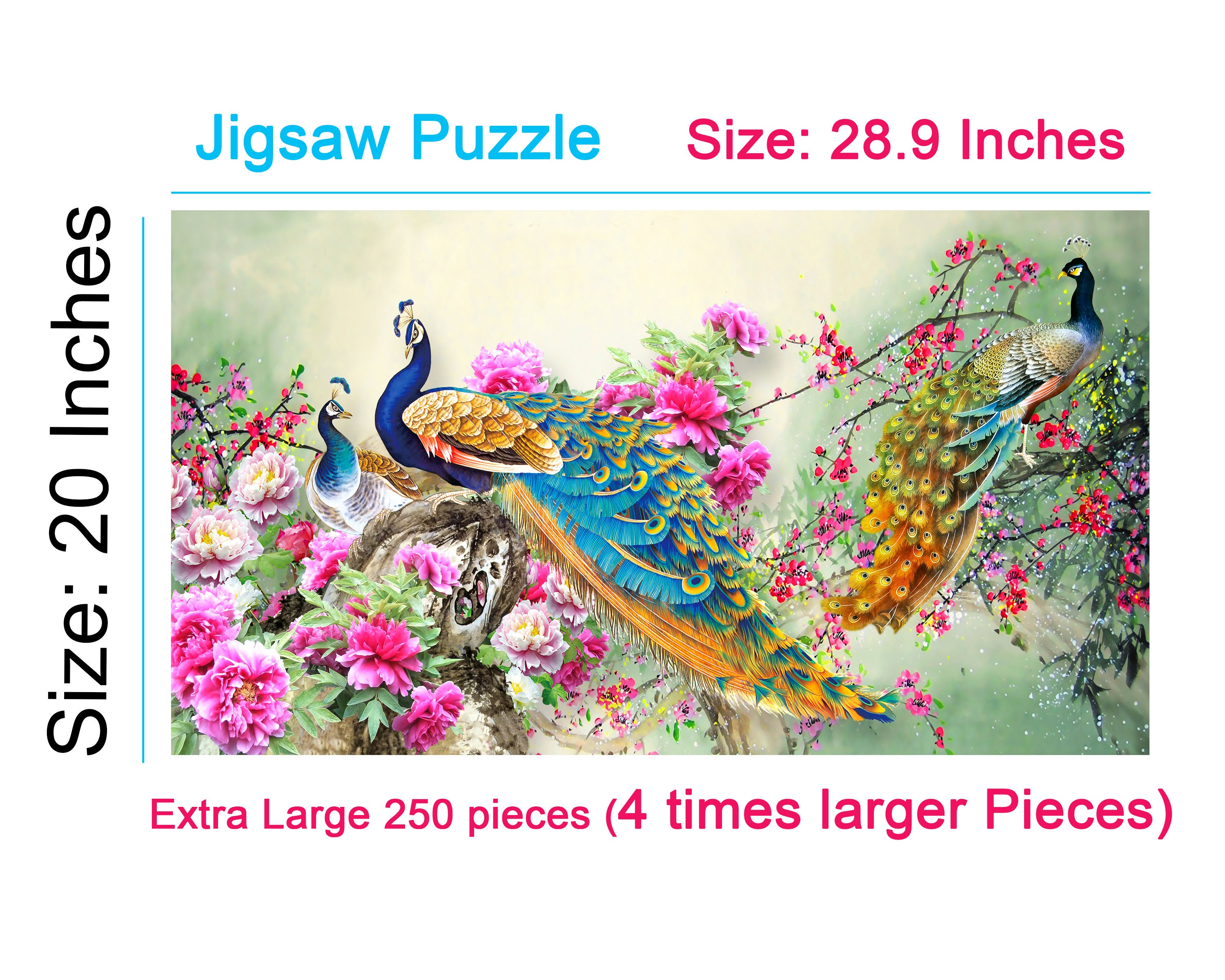 Peacock 250 Large Piece Jigsaw Puzzles. SUPER SIZED 250 Piece Jigsaw ...