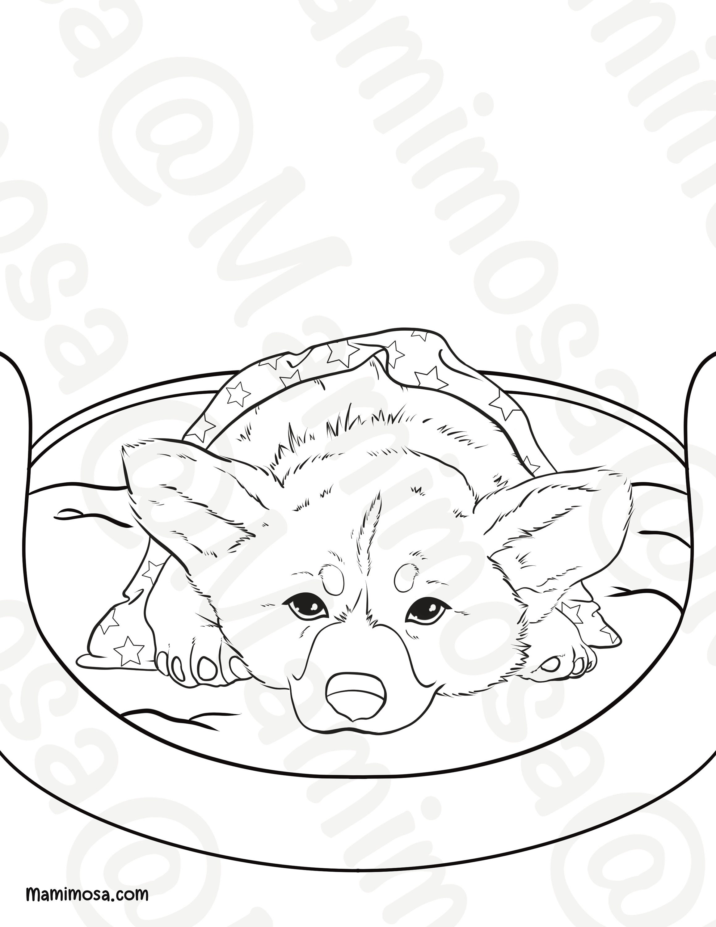 Sleepy Corgi Coloring Sheet - Etsy