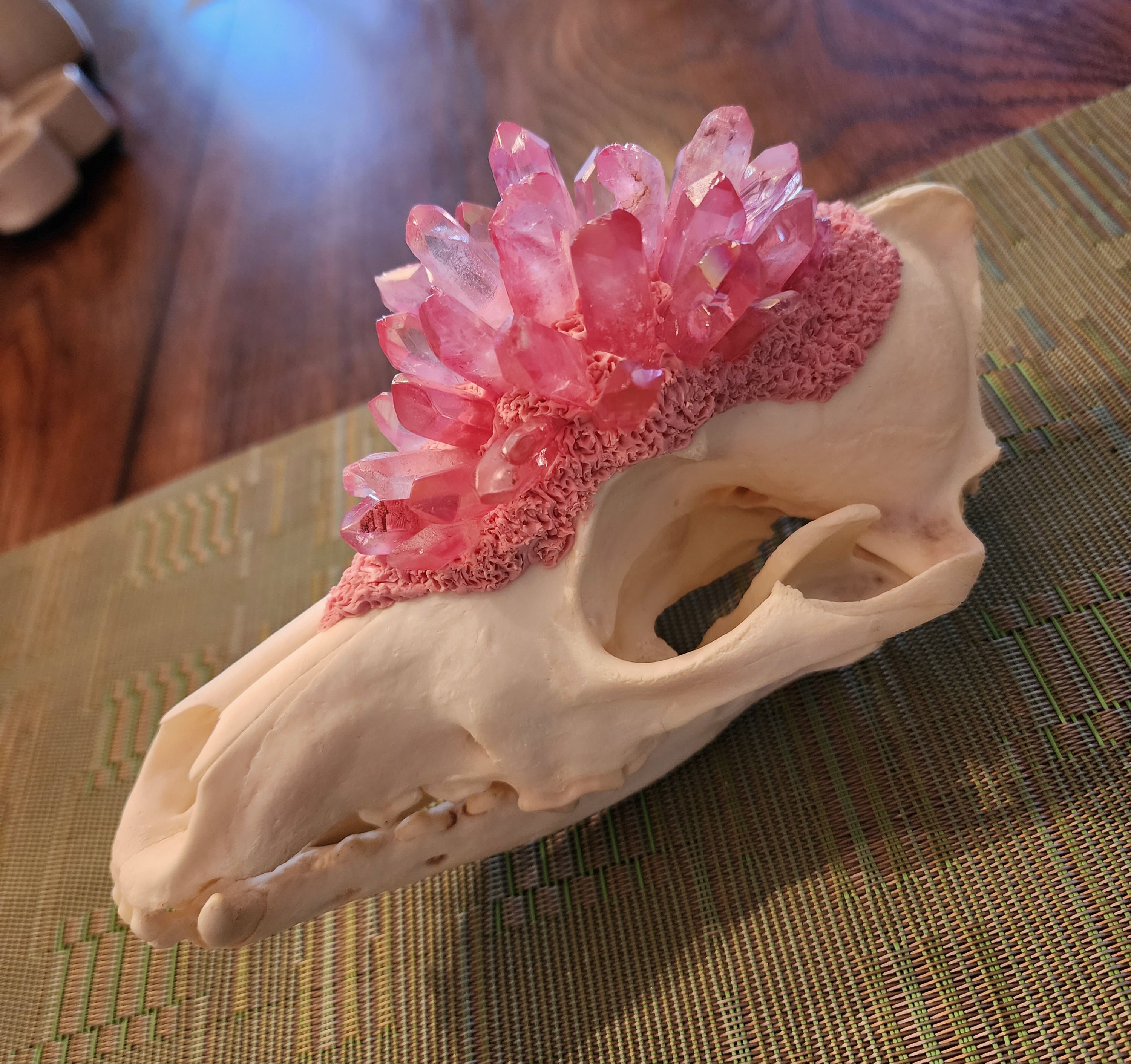 REAL Crystallized Coyote Skull With Aura Quartz and Pink Polymer Clay ...