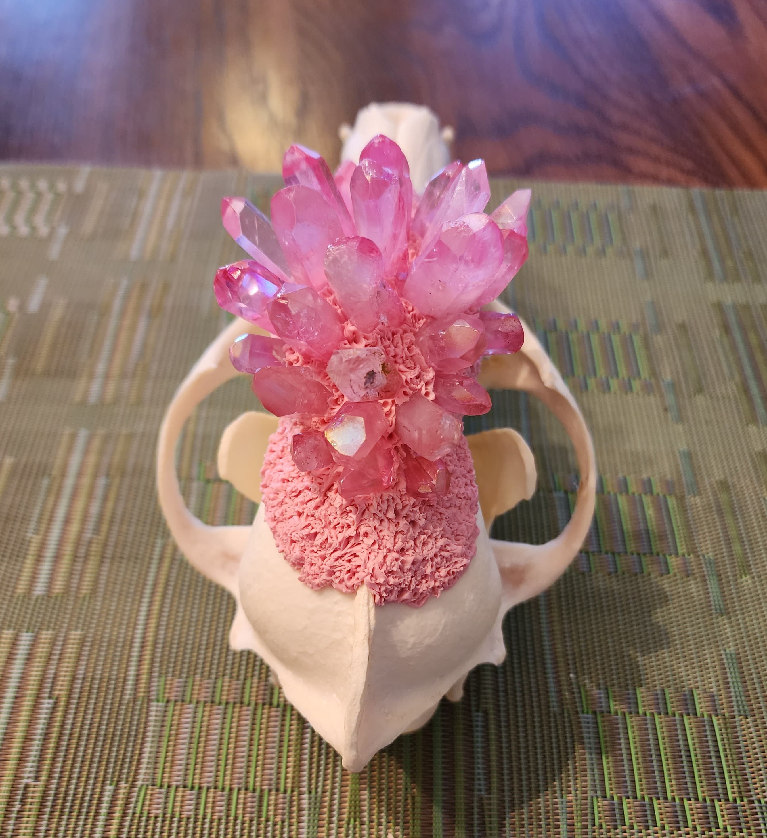 REAL Crystallized Coyote Skull With Aura Quartz and Pink Polymer Clay ...