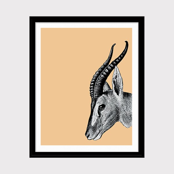 Ibex - Etsy