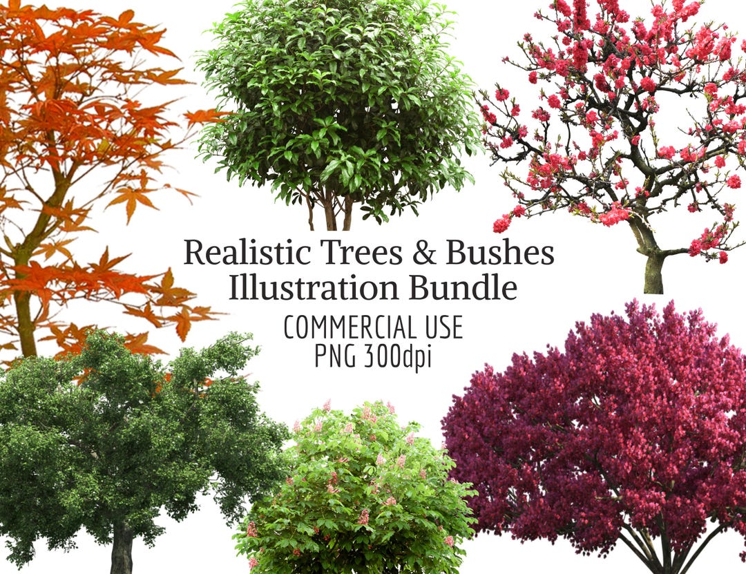 108 Realistic Trees & Bushes Clipart Mega Bundle | Botanical PNG ...