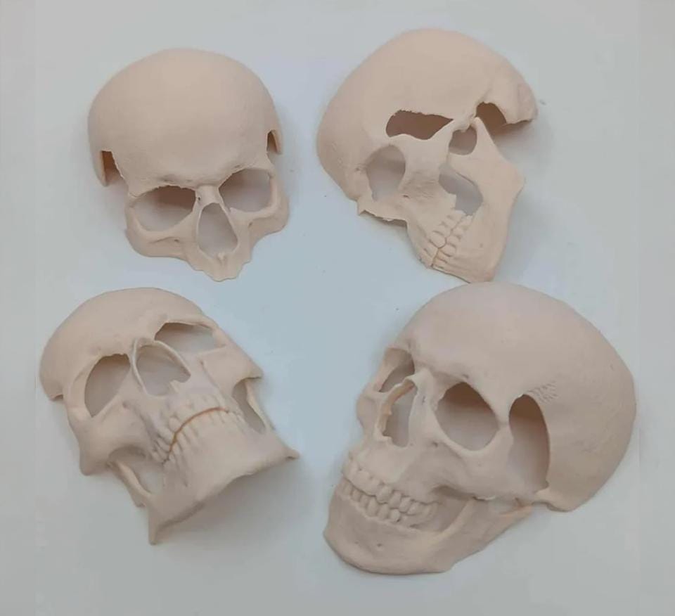 4 Pcs Human Skull Reptile Hide, 3D Printable Aquarium Terrarium Decor ...
