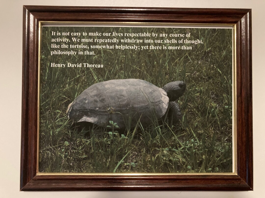 Printable Picture Henry David Thoreau Quote - Etsy