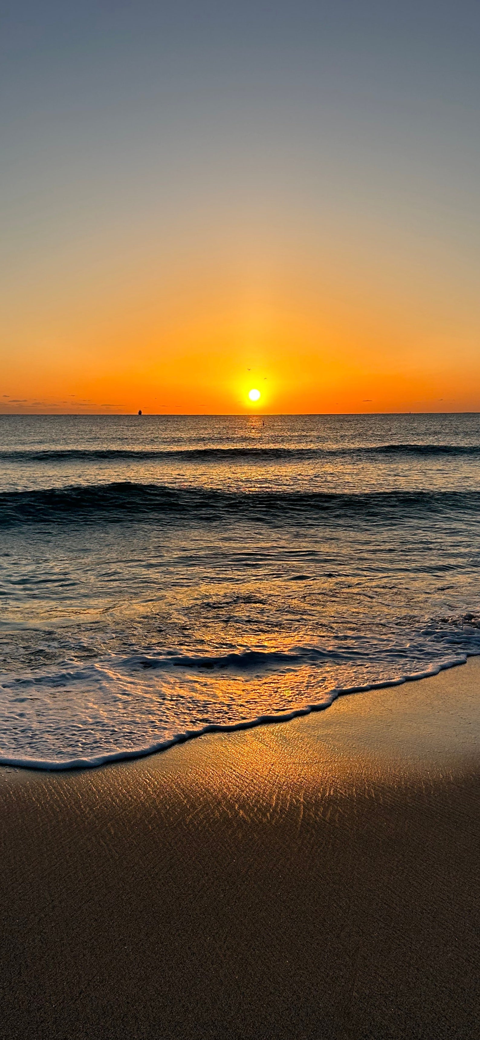 Sunlit Shores: Serene Sunrise Collection - Etsy