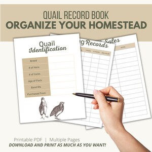Quail Record Book, Printable Quail Record Books, Quail Flock Tracker - Etsy