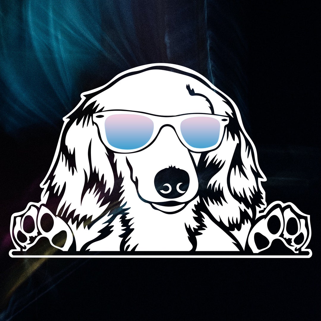 Long Haired Dachshund Wiener Dog Sticker Vinyl Decal car, Laptop ...