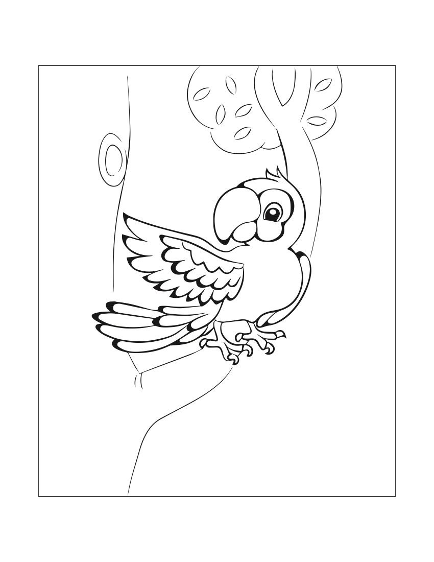 Cute Birds Coloring Pages (20 Total) *digital File - Etsy