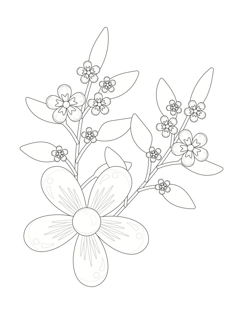 Flowers Coloring Pages 10 Total digital File - Etsy