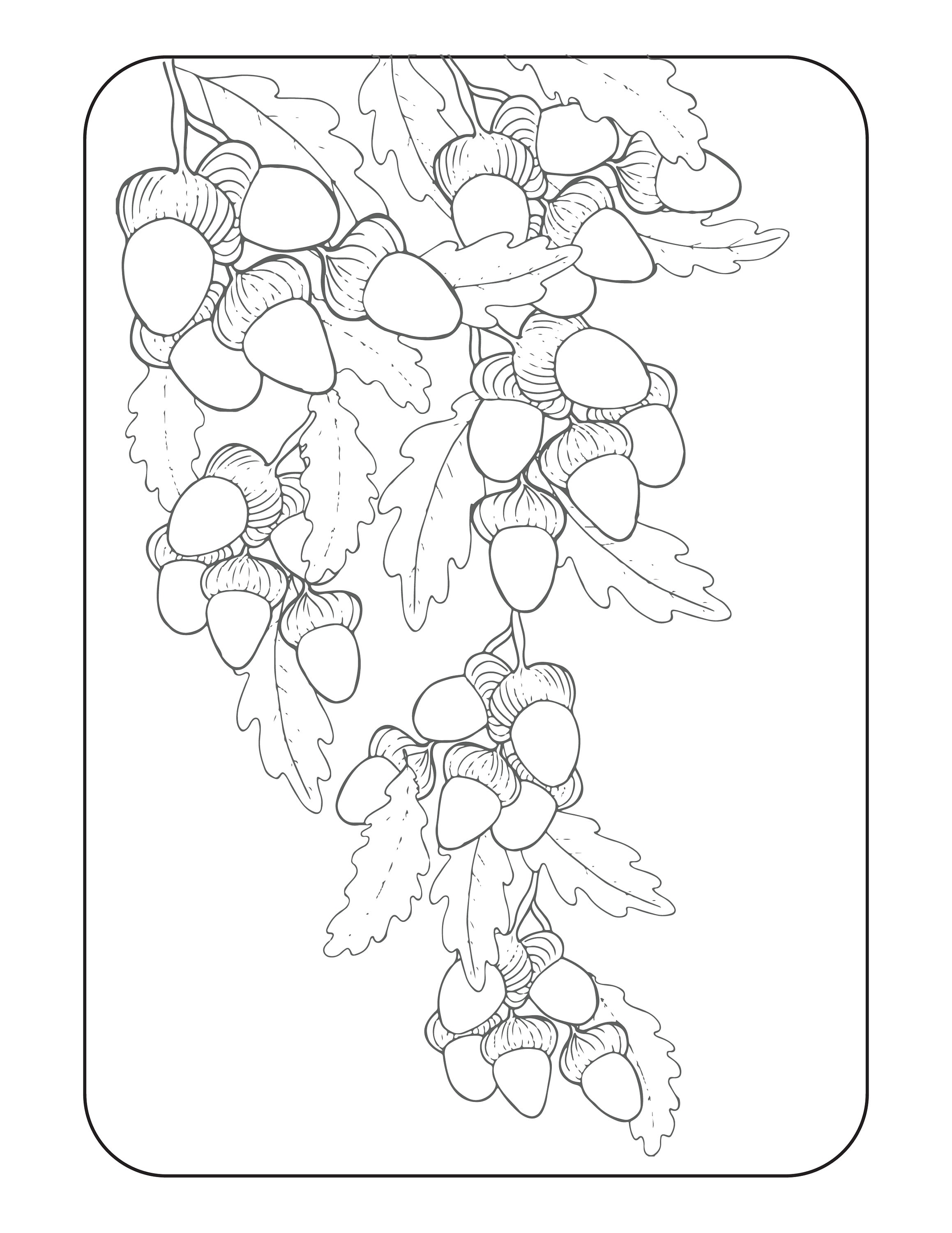 Autumn Themed Coloring Pages (10 Total) - Etsy