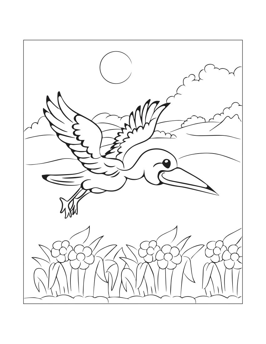 Cute Birds Coloring Pages (20 Total) *digital File - Etsy