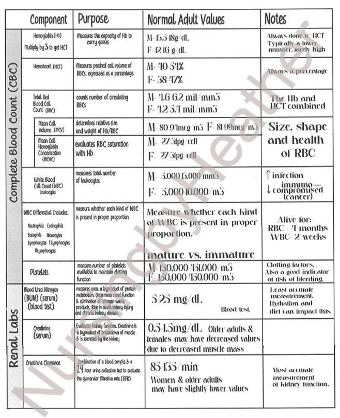 Lab Values Cheat Sheet - Etsy Lab Values Cheat Sheet - Etsy