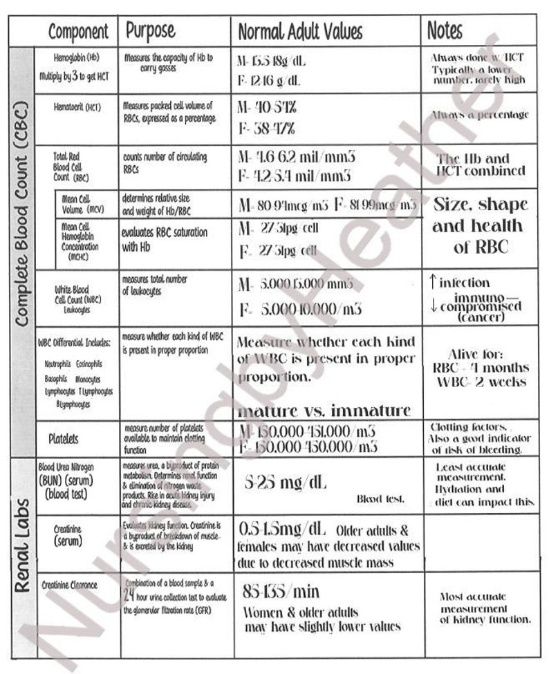 Lab Values Cheat Sheet Etsy