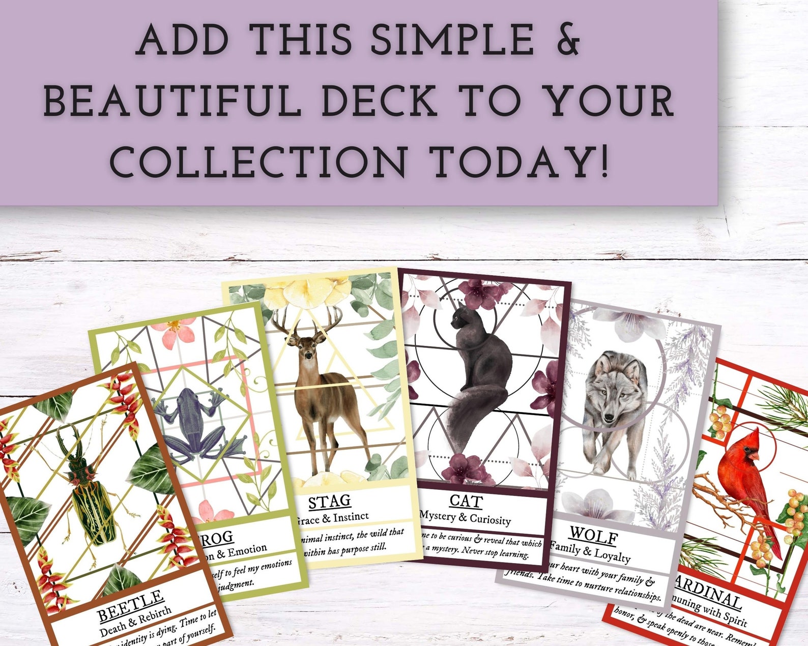 Printable Animal Oracle Card Deck, 24 Cards, Animal Omen Cards, Oracle ...