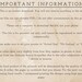 Printable Animal Oracle Card Deck, 24 Cards, Animal Omen Cards, Oracle ...