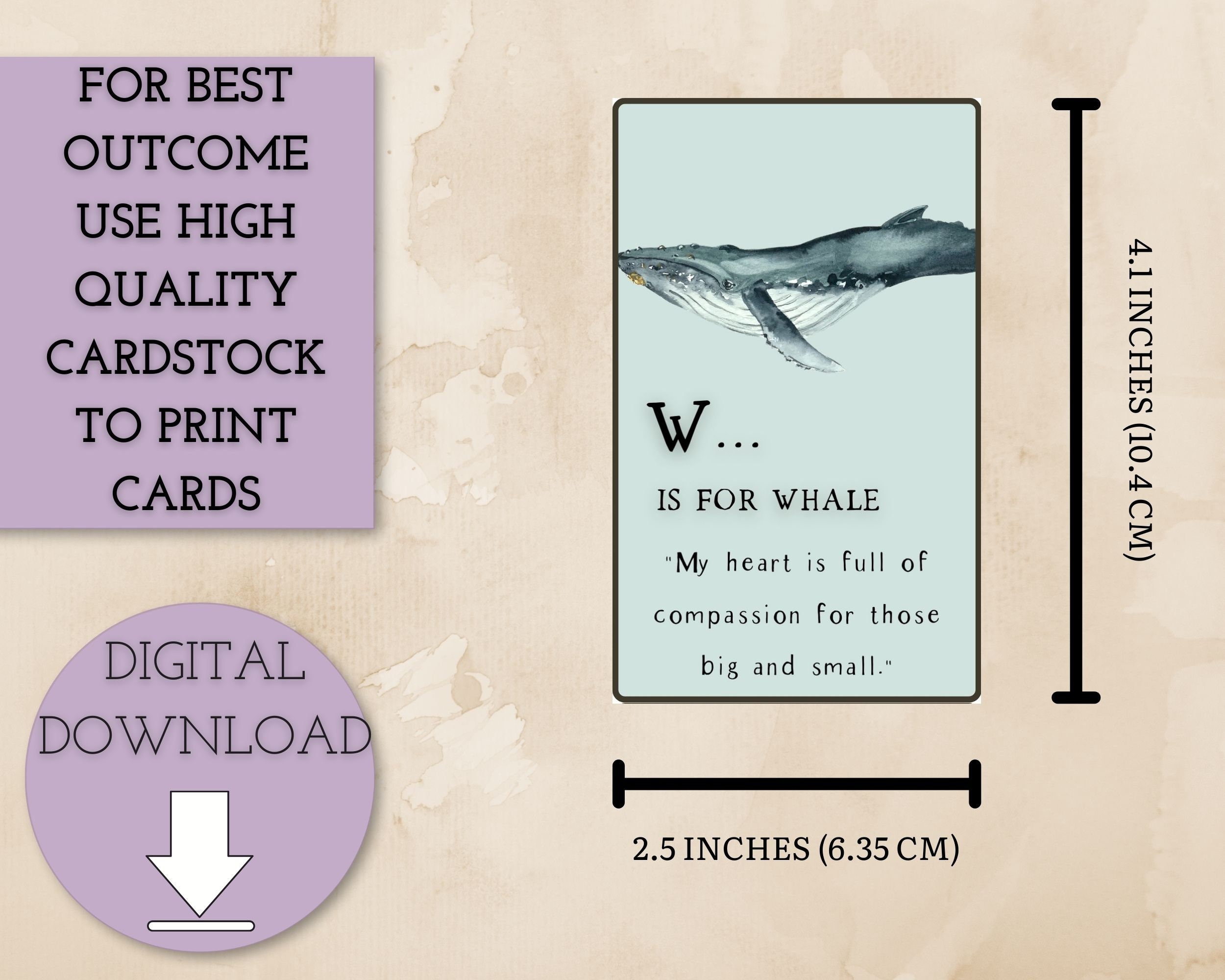 Printable Animal Cards, ABC Animal Cards, Positive Affirmation Cards ...