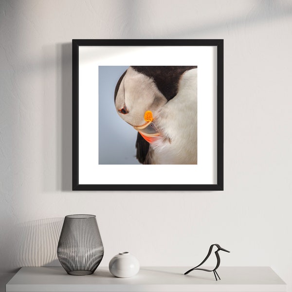 Puffin Photographs - Etsy