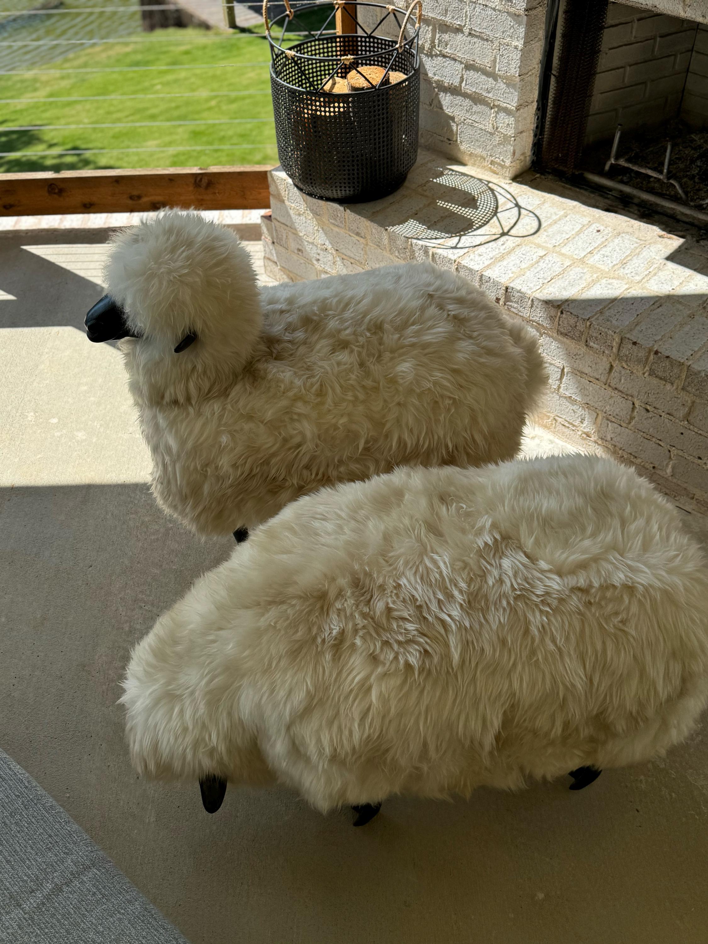 TWO Lalanne Style Natural Sheepskin Couple Sheep Chairs. Life-size ...