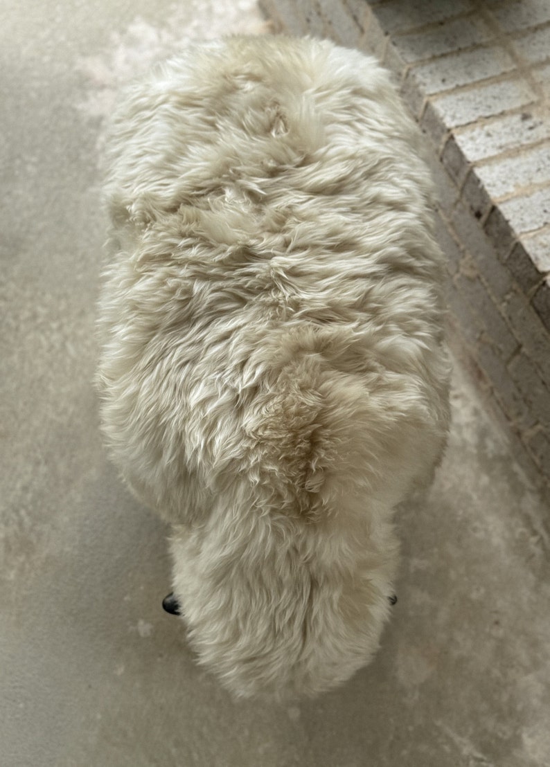 LARGE HIGH-END Grazing Sheep Style Sheepskin Chair in the Style of ...