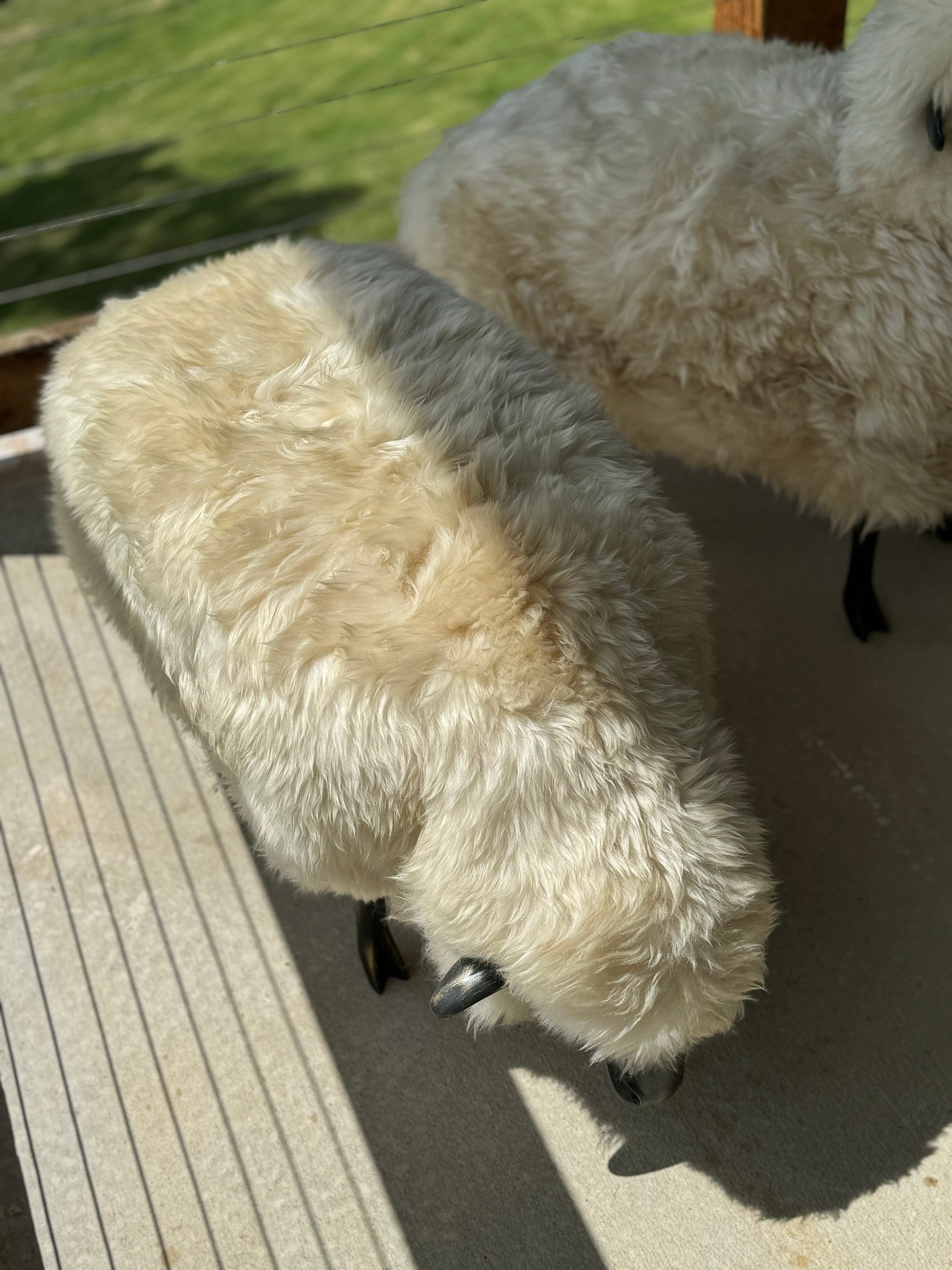 LARGE HIGH-END Grazing Sheep Style Sheepskin Chair in the Style of ...