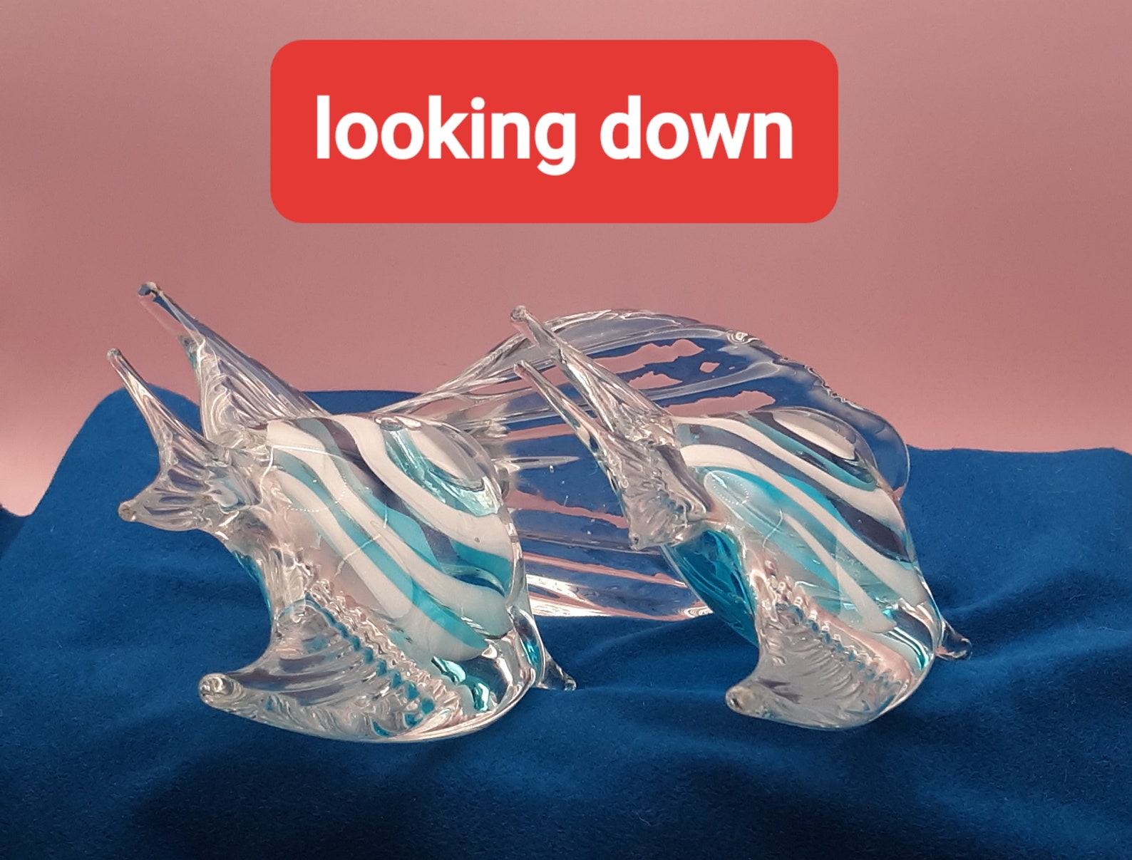 Murano style Pair of White and Aqua Blue Glass Angle Fish on a Wave - Etsy