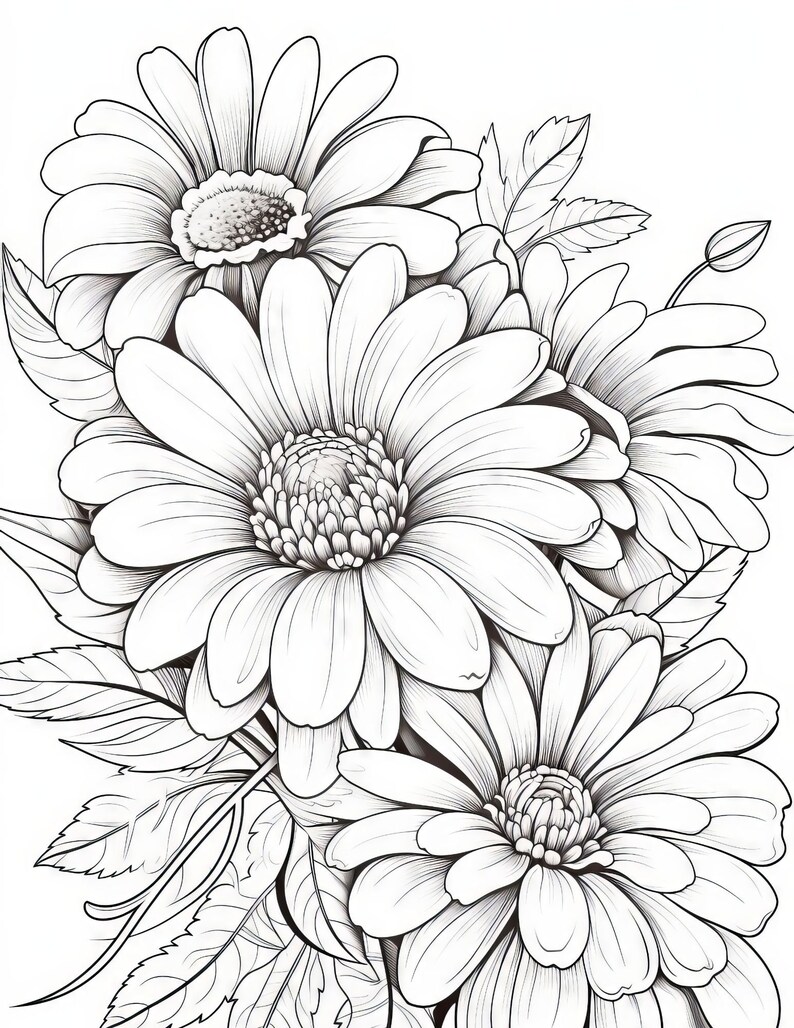 Flower Coloring Book - Etsy