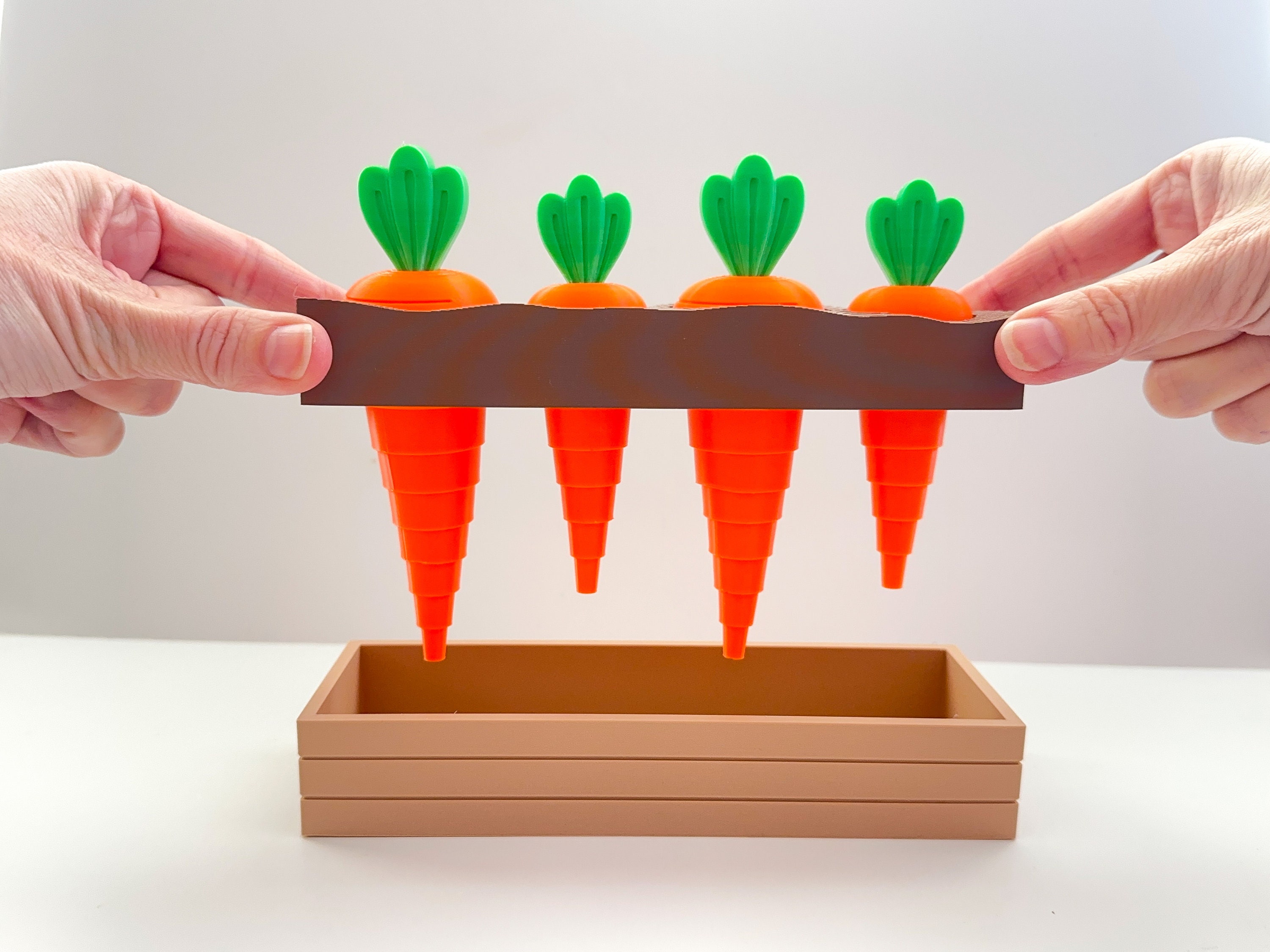 Carrot Garden Layered Fidget Toy - STL File for 3D Printing - Etsy