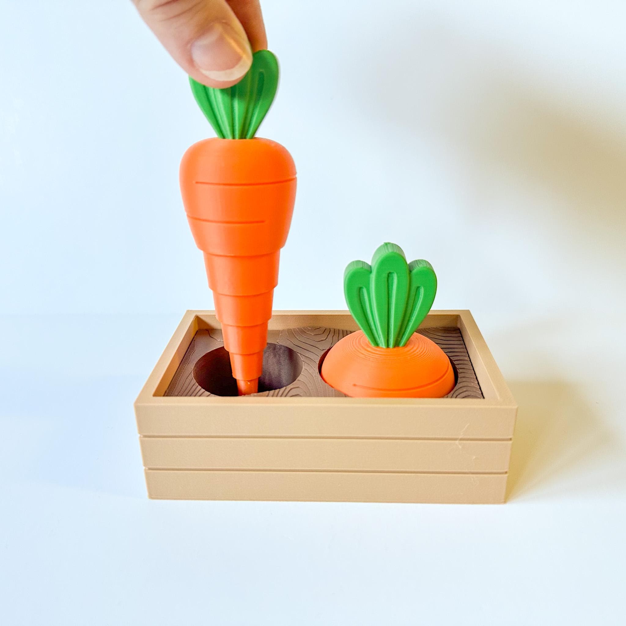 Carrot Garden Layered Fidget Toy - STL File for 3D Printing - Etsy