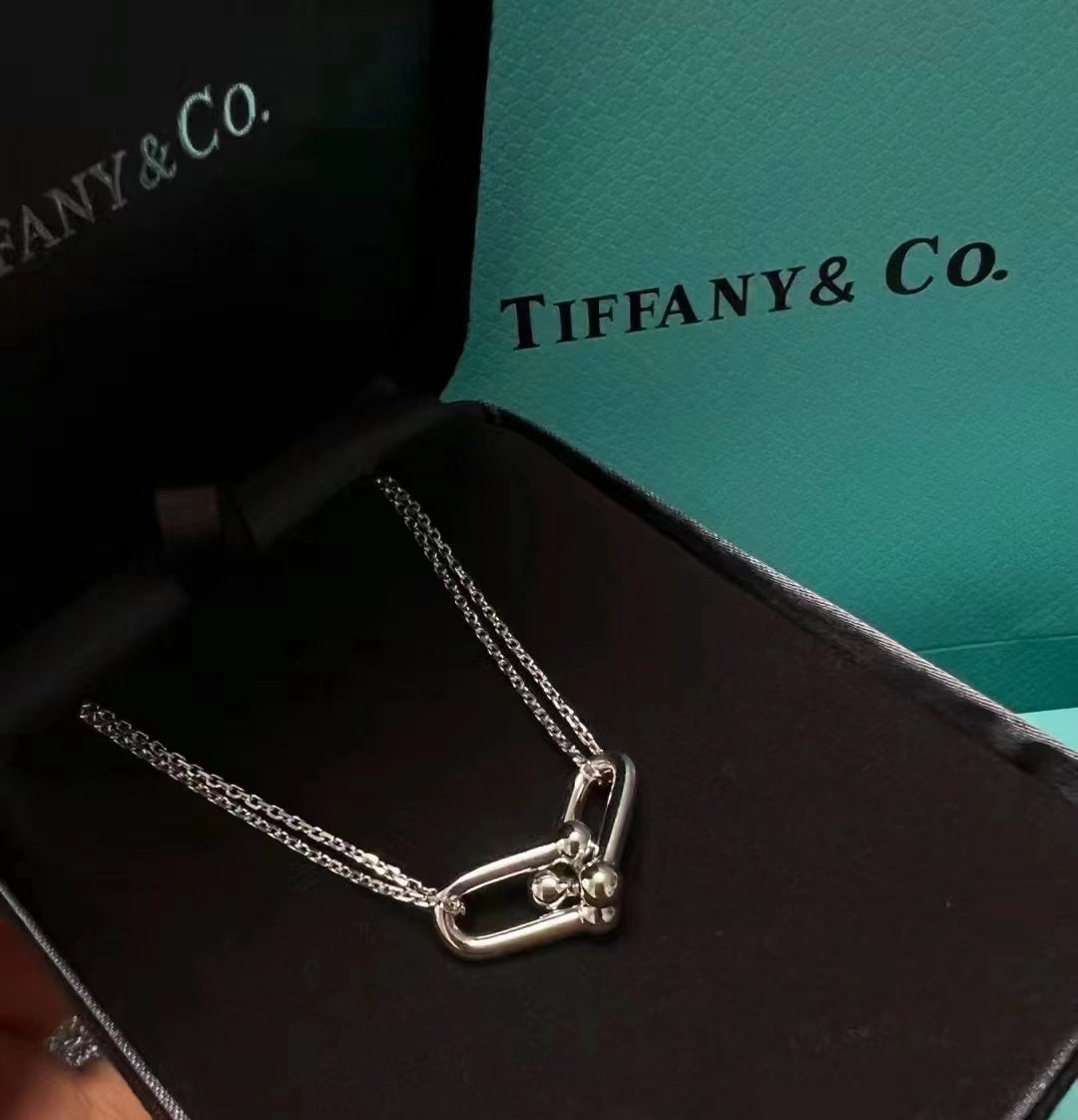 Tiffany Co Hardware Necklace in 18K White Gold Charm Necklace - Etsy