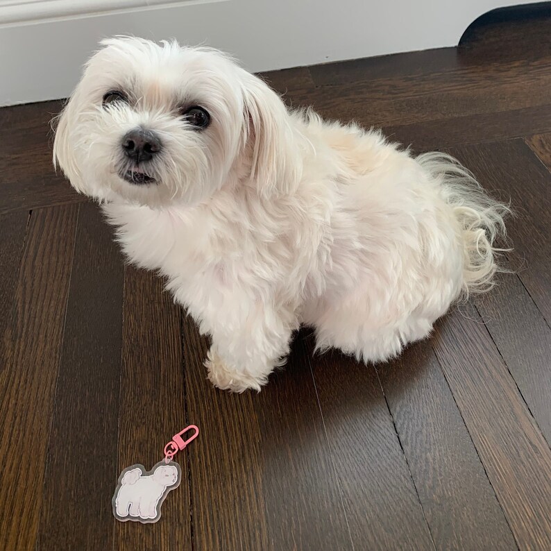 Princess the Maltese Doggy Keychain Clear Acrylic - Etsy