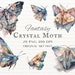 Crystal Moth Bundle 20pc PNG & JPEG | Crystal Moth PNG | Crystal Moth ...