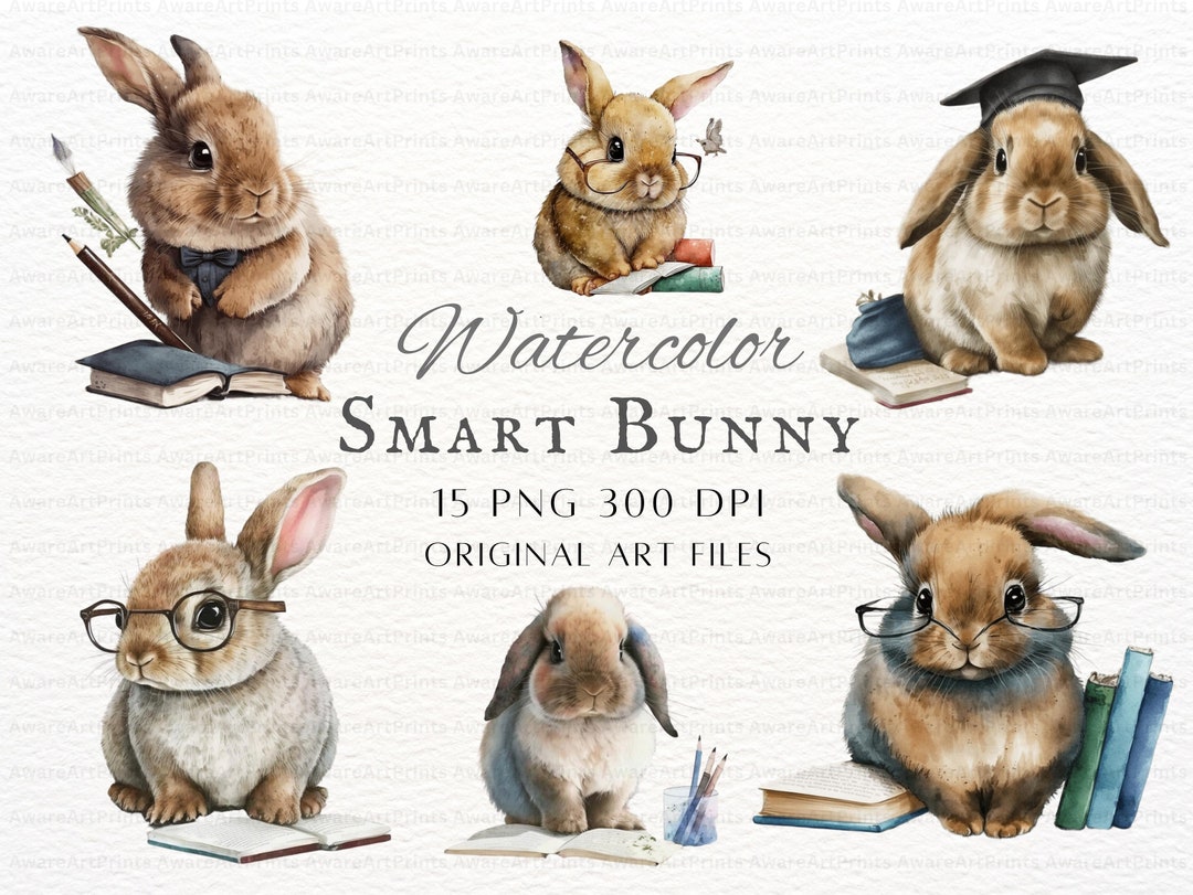 Watercolor School Bunny 15pc PNG & JPEG | Cute School Bunny PNG | Nerdy ...
