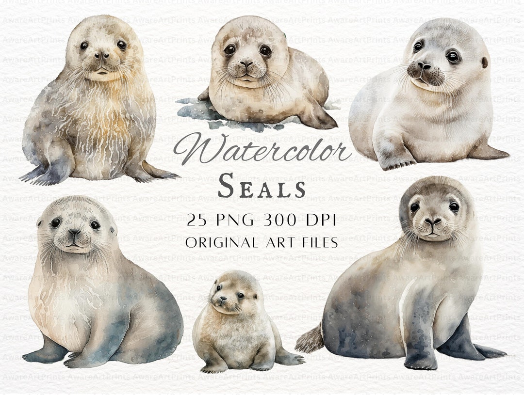 Watercolor Seals 25pc PNG & JPEG Bundle | Watercolor Seal PNG ...