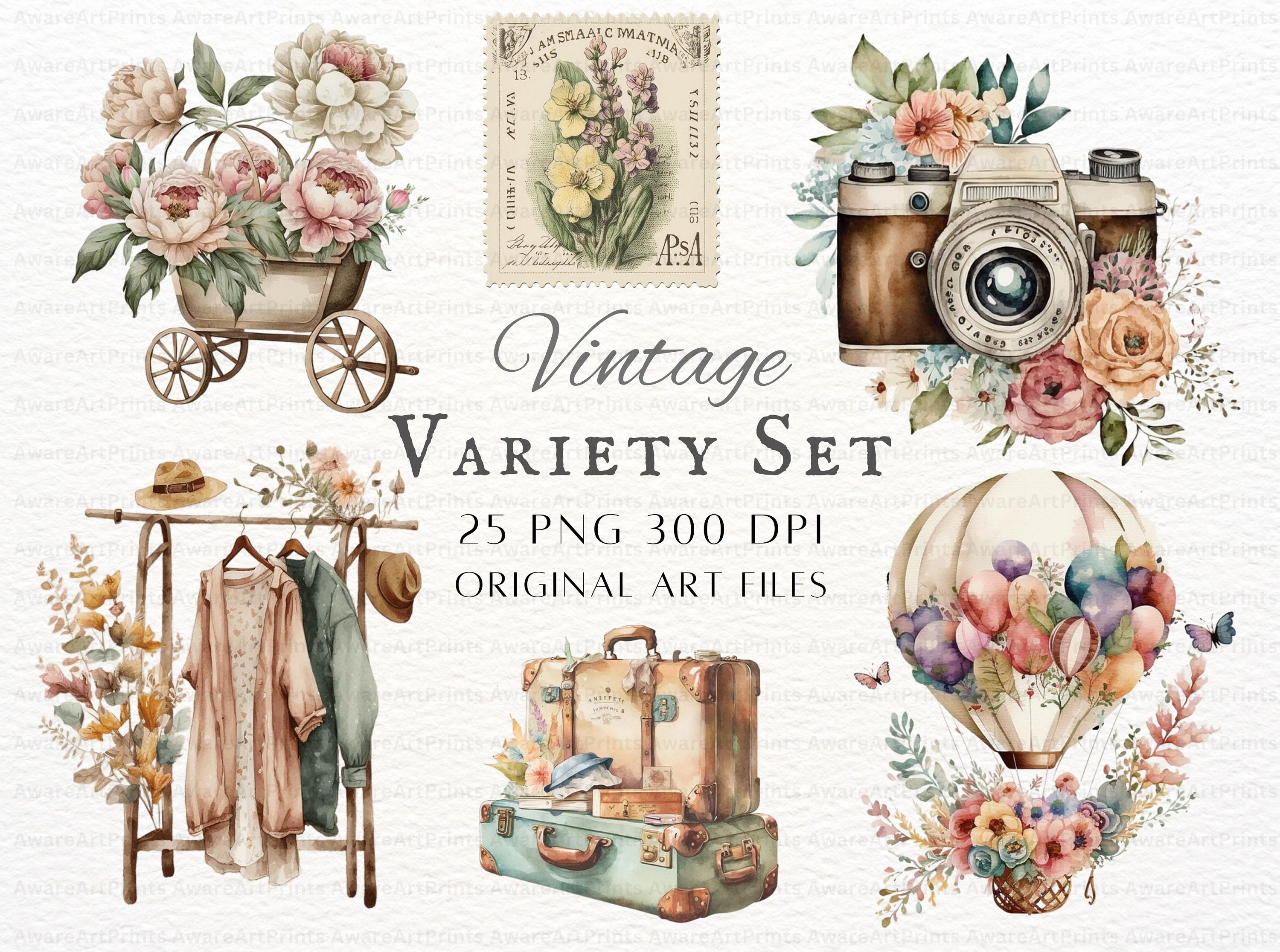 Vintage Watercolor 25pc Variety Sample Bundle PNG & JPEG | Vintage PNG ...