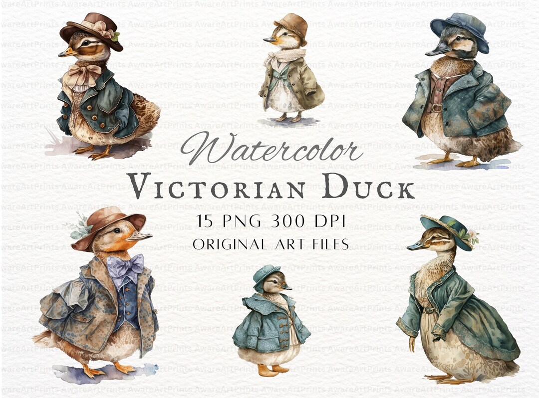 Watercolor Victorian Duck 15pc PNG & JPEG | Watercolor Easter Duck PNG ...