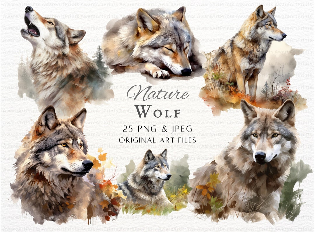 Wolf 25pc PNG & JPEG Bundle | Nature Wolf PNG | Printable Wolf Wall Art ...