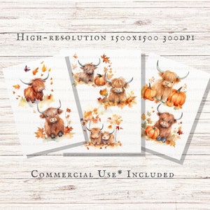 Highland Cow Fall 25pc PNG & JPEG Bundle | Highland Cow PNG | Highland ...