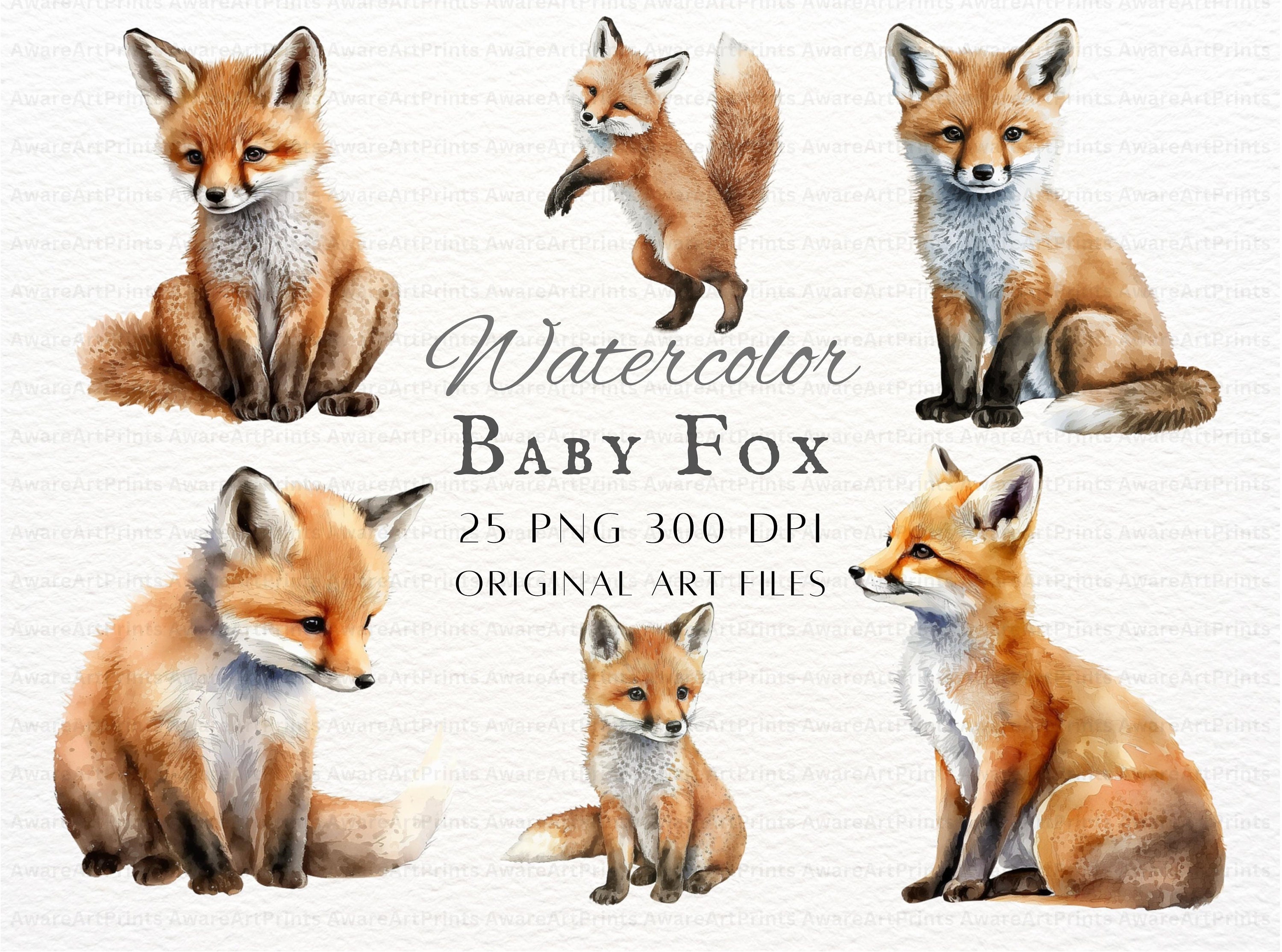 Cute Baby Fox Clipart