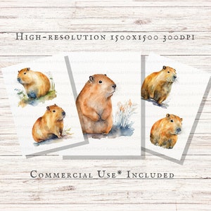Watercolor Capybara 20pc PNG & JPEG | Capybara PNG | Capybara ...