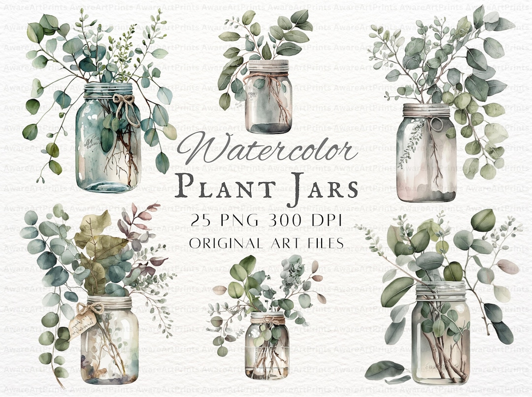 Boho Mason Jar 25pc PNG Bundle | Mason Jar PNG | Boho Plant PNG | Boho ...